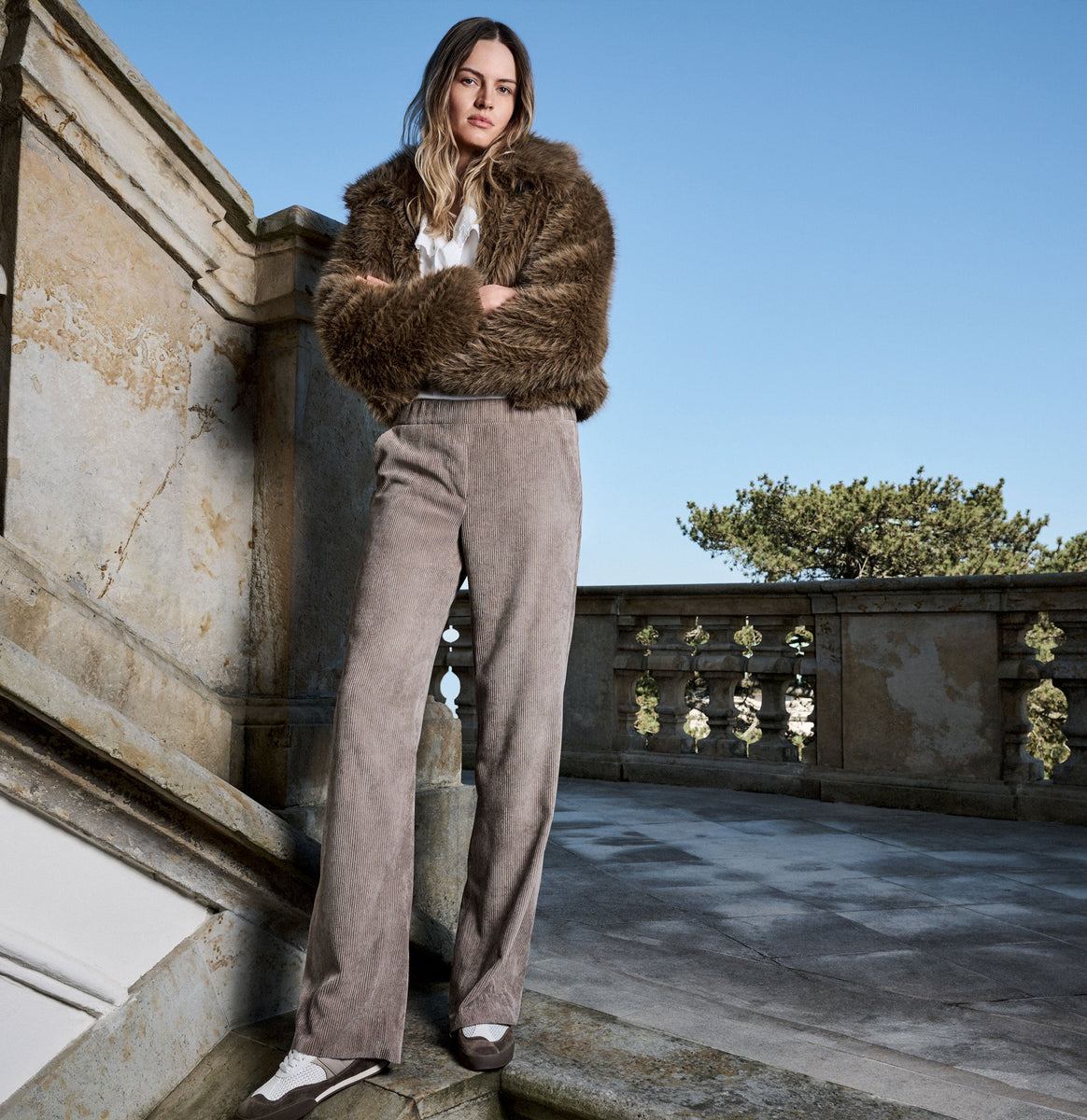 Mac Jeans | Women's Premium Denim & Pants – Robertson Madison